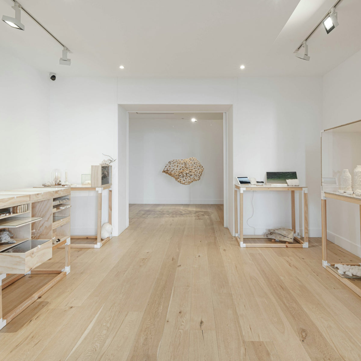 Lucía Mendoza - Exhibify