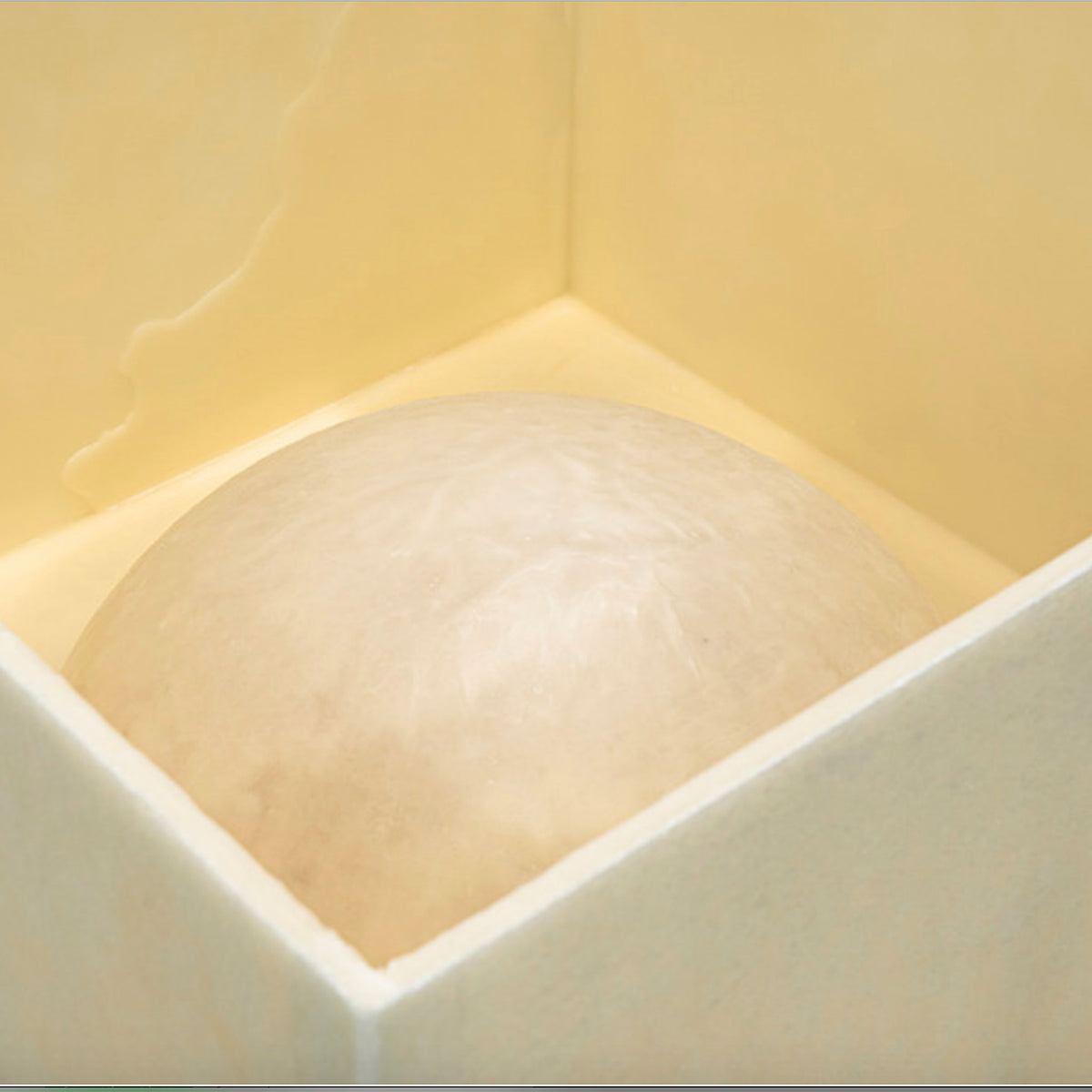 estampa 2023 - Exhibify