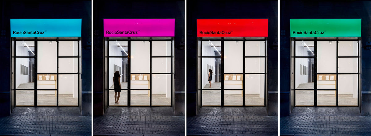 RocioSantaCruz - Exhibify