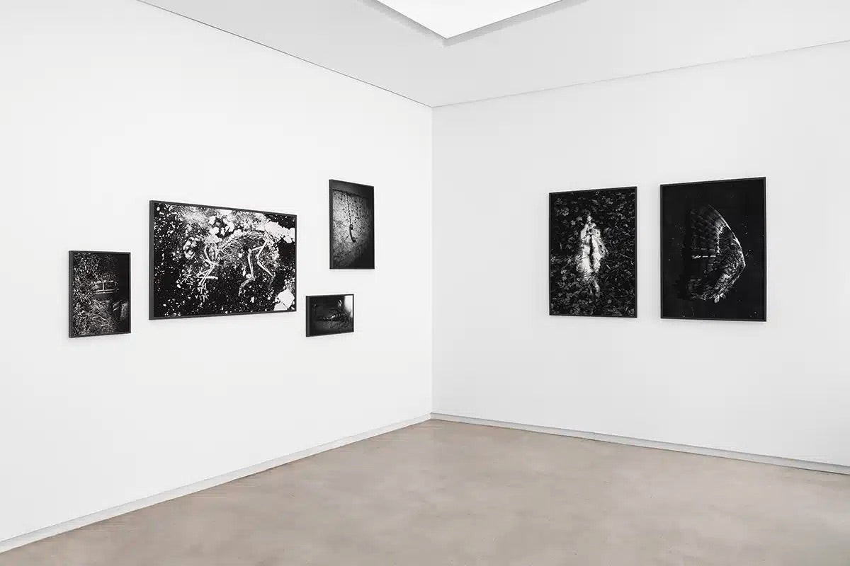 Galeria das Salgadeiras - Exhibify