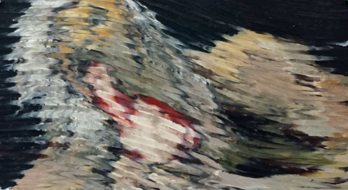 ST (Saturno, Goya II – Exhibify