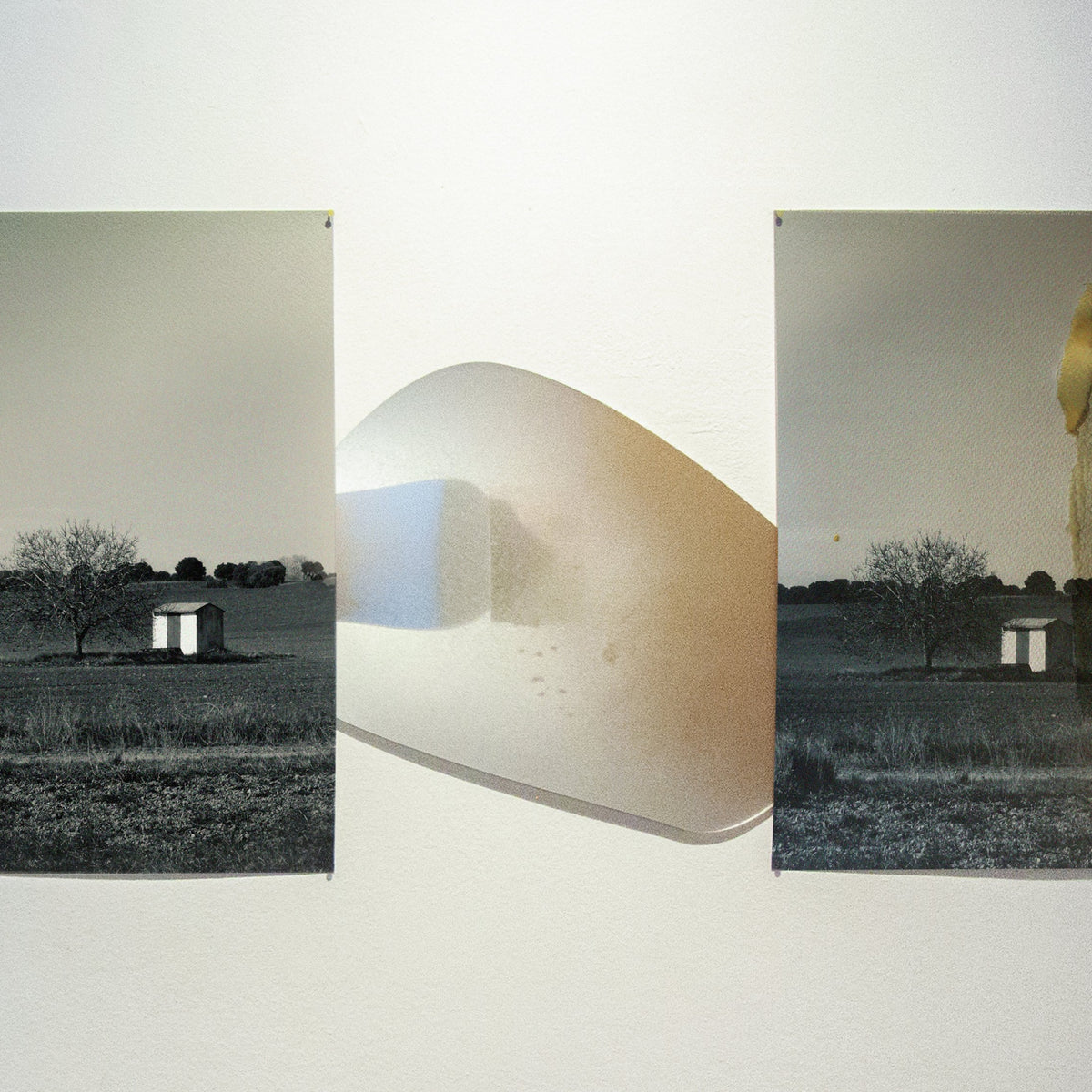 Field IV – Exhibify