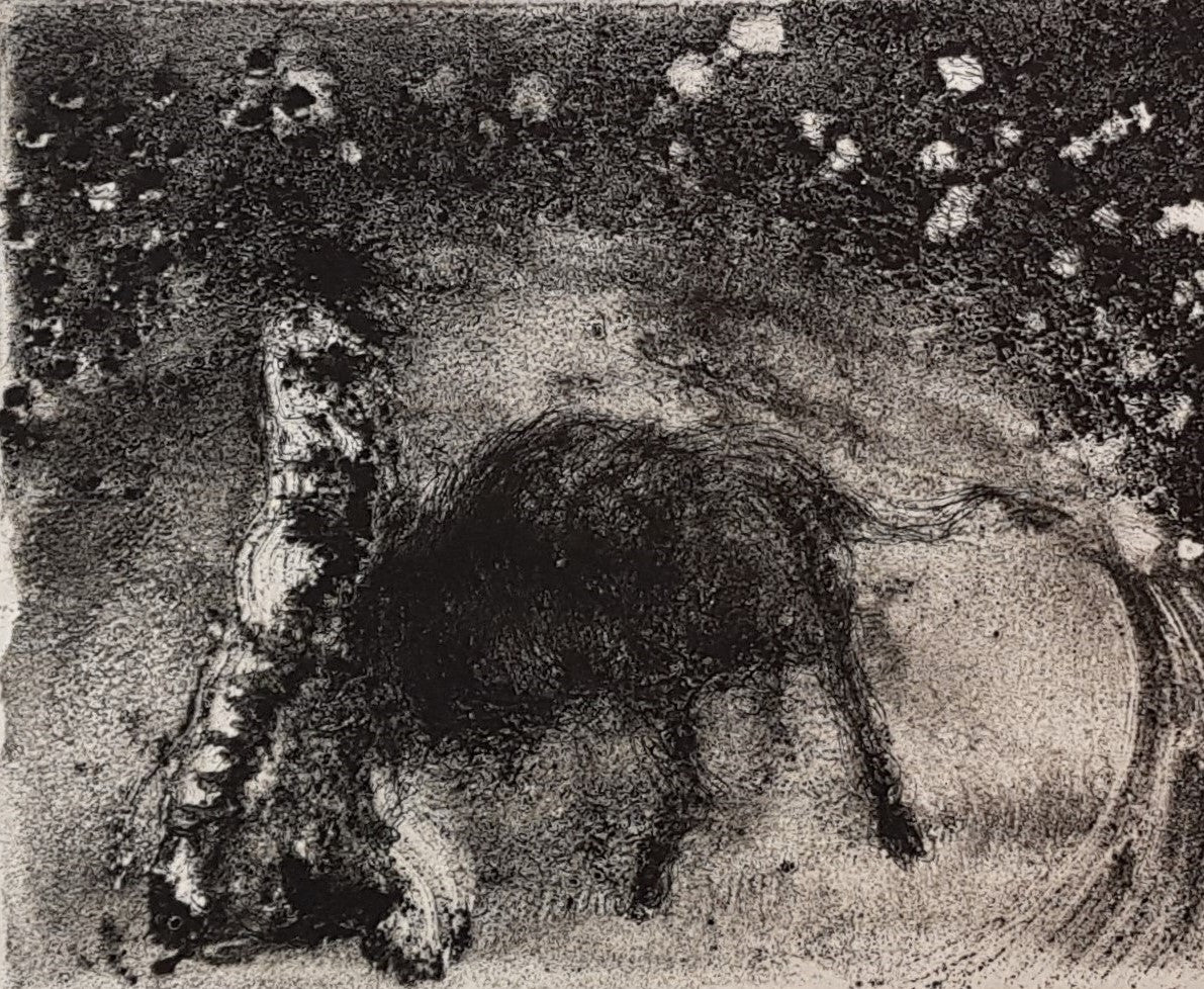 Lanzarote 50 – Exhibify