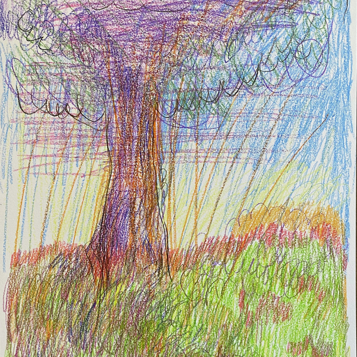 Árbol (II) – Exhibify