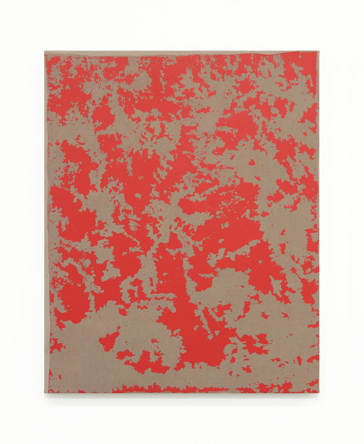 EL ZORRO Y SUS CAMELOS – Exhibify