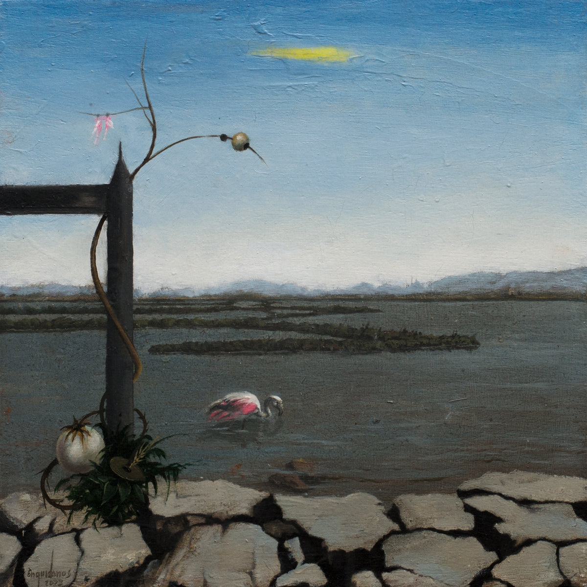 Flamenco rosa – Exhibify